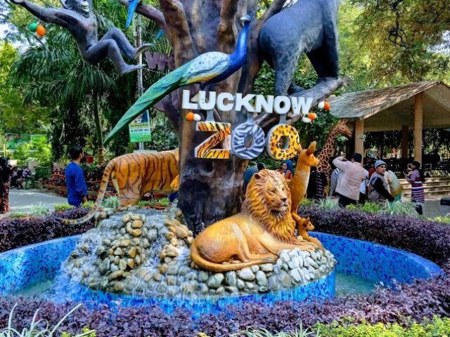 City Montessori School 12 Station Road Campus Lucknow-226011